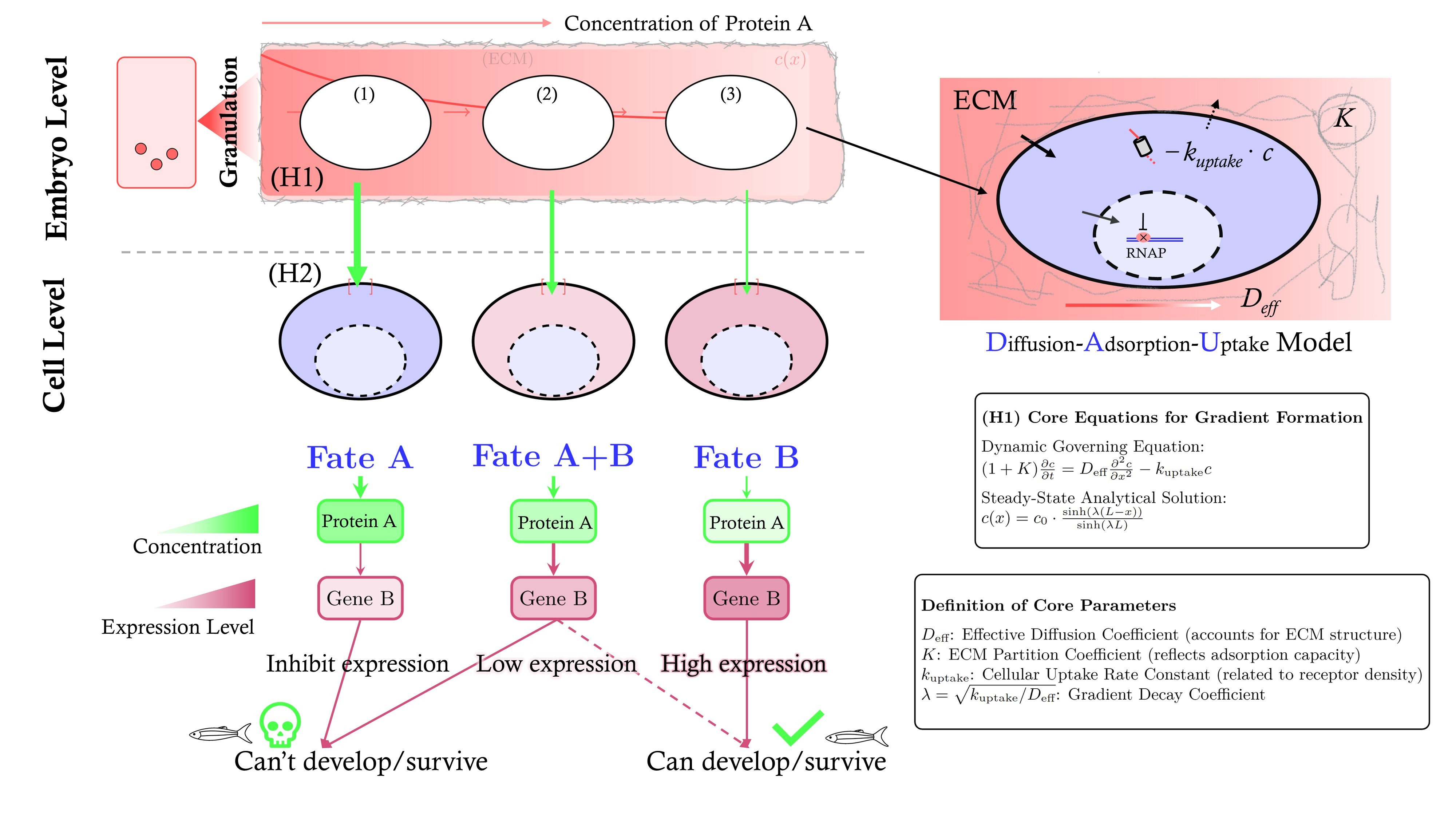 Ziyan Zhuang | Take risks when you can.