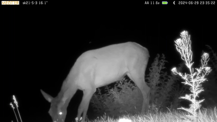 Ziyan Zhuang | I love biology — more is different.